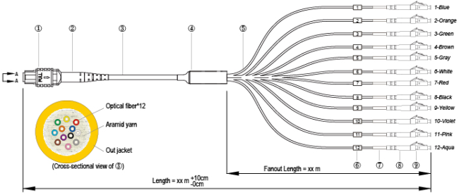 MPO/MTP fanout cable detail