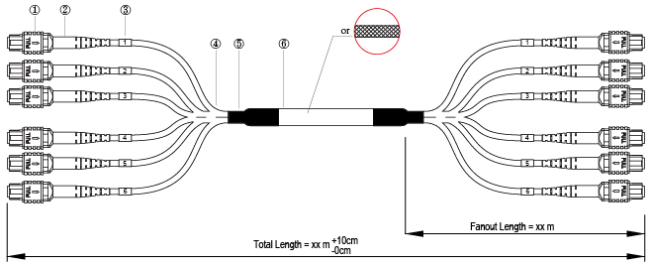 MPO/MTP fanout cable configuration