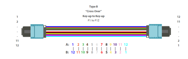 MTP/MPO Type-B Cable diagram showing key-up connectors