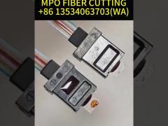 녹색 MPO 섬유 케이블 다 형태 OM3 8 핵심 QSFP/송수신기를 위한 10 미터