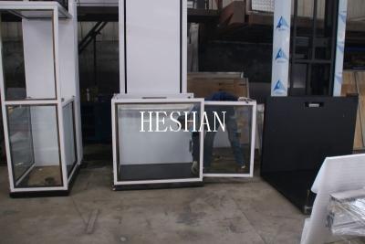 Cina L'elevatore domestico della sedia a rotelle solleva 300kg su misura per le persone disabili in vendita