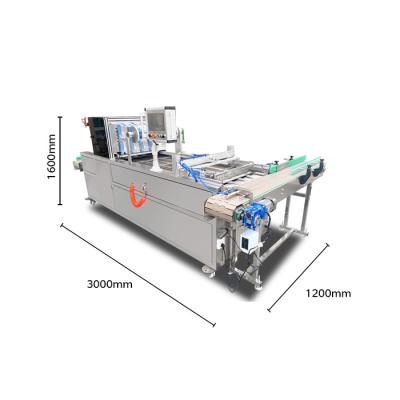 Cina Pneumatico elettrico modificato continuo automatico dell'attrezzatura per imballaggio dell'atmosfera in vendita