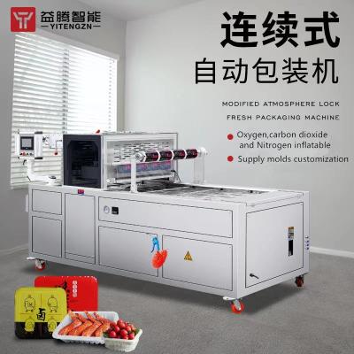 Китай непрерывная машина уплотнителя подноса еды 6500W вакуумирует доработанную атмосферу со смесью газа продается