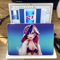 China Computer Controlled Graphtec Cutting Machine Plotter And Skin Design Software for sale