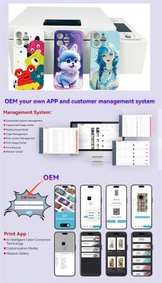 China DAQIN Caldeira a vácuo Transferência Impressora Máquina de sublimação de imprensa de calor para caixa de telefone celular personalizado à venda