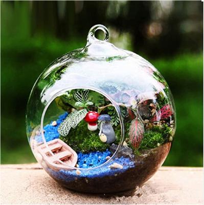 Cina Vaso per terrario in vetro borosilicato alto Novolink Vetreria decorativa in vendita