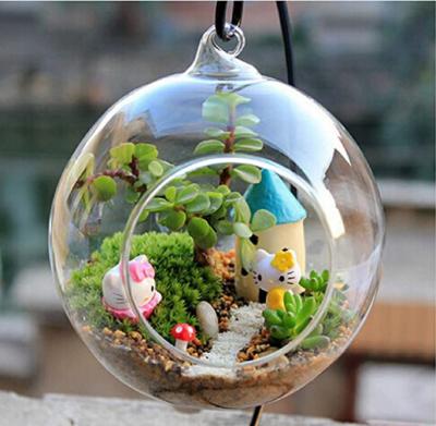 Cina Vaso per terrario in vetro borosilicato alto Novolink Vetreria decorativa in vendita