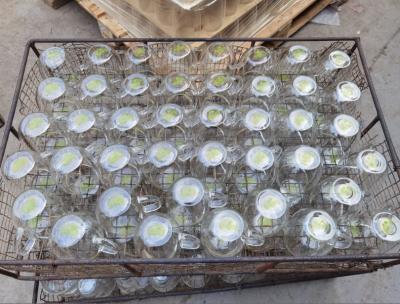 Cina Ciao tazza termica a doppia parete in vetro borosilicato per bevande calde fredde in vendita