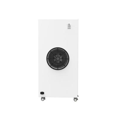 Cina Particulates Sensor Indoor Air Purification Device with Less Than 50 DB Noise Level in vendita