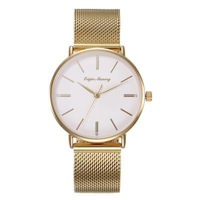 Cina Quadrante 36mm semplici di Mesh Strap Ladies Quartz Watch dell'acciaio inossidabile dell'oro grande in vendita