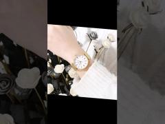 Gold Stainless Steel Mesh Strap Ladies Quartz Watch Large Dial Simple 36mm