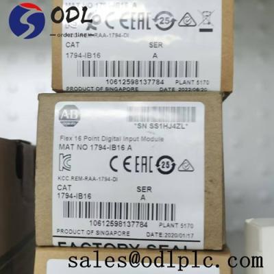 China Allen Bradley 1794-lB16 I/O Module 16 Digital Sink Inputs 24VDC for sale