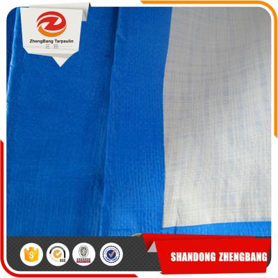 China PE Tarpaulin sheet with all kinds of sizes and colors for sale