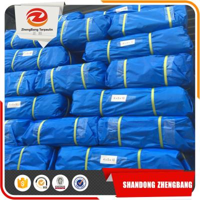 China China Popular Camping Tent Pe Tarpaulin Agricultural Ground Cover for sale