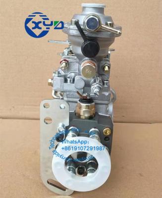 Cina L'olio per motori ad alta pressione pompa no. 0460426174 della pompa di VE6 12F1300R377-1 VE in vendita