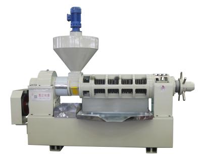 China Large Capacity Cold Oil Mill Oil Making Machine Palm Kernel Oil Press Coconut Oil Press for sale
