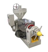 China Automaticlly Control Sunflower Cold Oil Press Machine With Electrical Cabinet Control for sale
