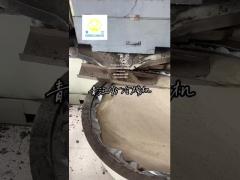reverberate seed oil press