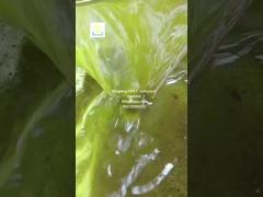 sunflower seed oil press machine