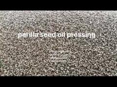 auto oil press machine
