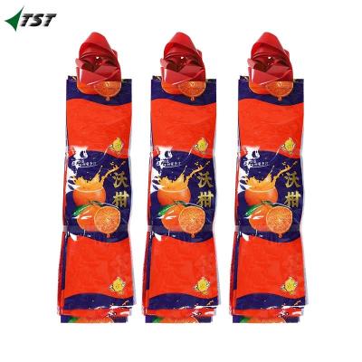 China 1kg 2kg Extruded Mesh Bag For Orange Packaging With Handle for sale