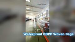 Custom Printed BOPP Woven Packaging Bags