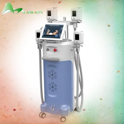 China Cryolipolysis leadbeauty three sizes of handles two handles can work together for sale