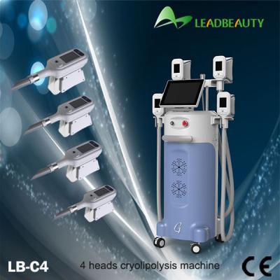 China Safe Cryolipolysis Fat Freeze Slimming Machine , 12 Inch Screen Body Slimming Equipment for sale