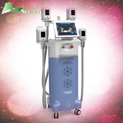 China 12 inch touch screen cryolipolysis cold body sculpting machine for sale