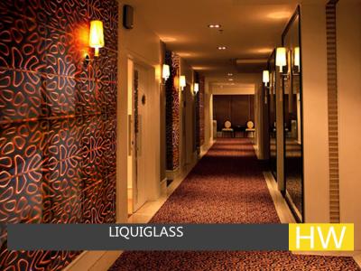 Cina Progetto Liquiglass in vendita
