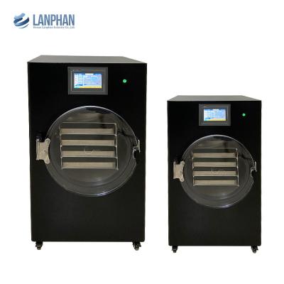 China Máquina de secagem 1550W do gelo do laboratório para vegetais de frutos à venda