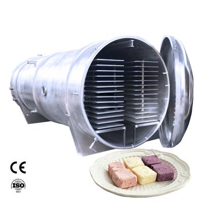 Cina Grande macchina industriale commerciale della liofilizzazione di vuoto del liofilizzatore per la verdura dell'alimento in vendita