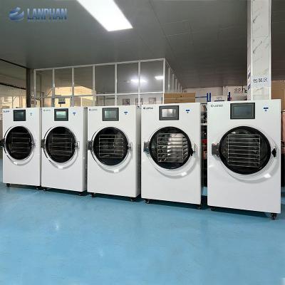 Cina 10kg 15kg Freeze Dryer Food Drying Lyophilizer Machine per la casa senza olio in vendita