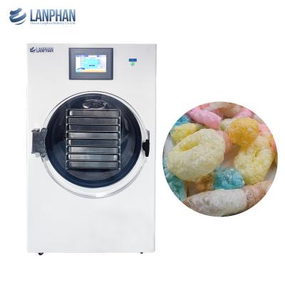 China Lcd Display Food Vacuum Freeze Dryer For Food Preservation for sale