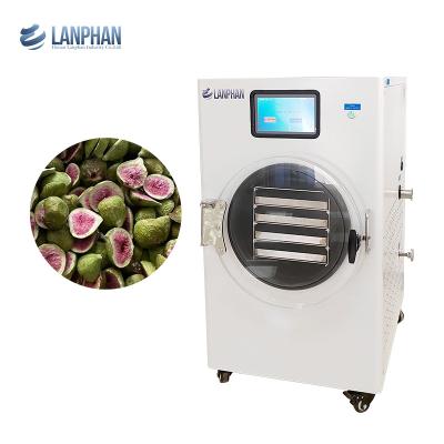 China Avocado, Fig, Peach, Watermelon Stainless Steel Fruit Dryer Machine Vacuum Dryer For Food for sale