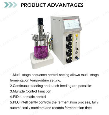 China Mini Microbial / Bacteria Fermenter Bioreactor 1l Lab Fermenter Bioreactor For Algae for sale