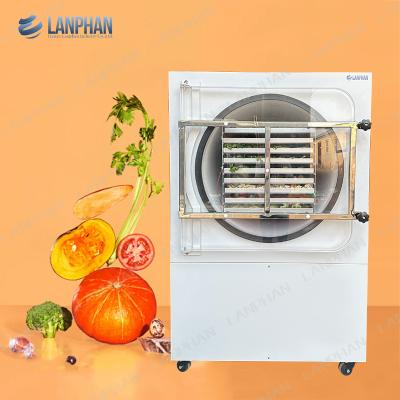 중국 5M2 9층 상업용 냉동 건조기 냉동 냉각기 과일 진공 냉동 건조기 판매용
