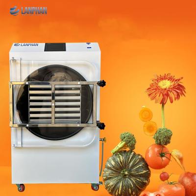 China 4m2 14 Large Trays Vacuum Food Freeze Dryer Factory Manufacturer for Fruits and Vegetables for sale
