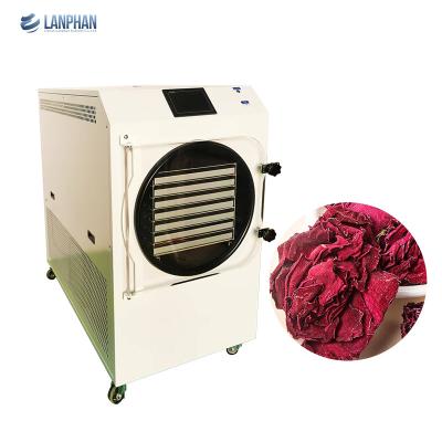 中国 果物 野菜 液体冷凍機 50kg/24時間 小型商用冷凍乾燥機 販売のため