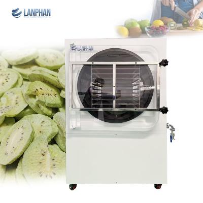 中国 二重コンプレッサー 野菜冷凍乾燥機 果物 花 真空冷凍乾燥装置 販売のため