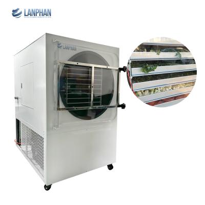 China 50-70kg Freeze Dryer Fish Beef Chicken Milk Shirp Egg Vacuum Freeze Dryer Drying Machine for sale