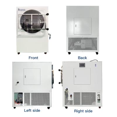 China Lager Capacity 60kg 70kg Industrial HFD-50 Vacuum Freeze Dryer Lyophilizer for Food Processing for sale