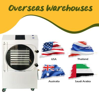 China Commercial 50kg Vacuum Freeze Dryer Machine Food Lyophilizer Freeze Dryer Vacuum Dryer Machine for sale