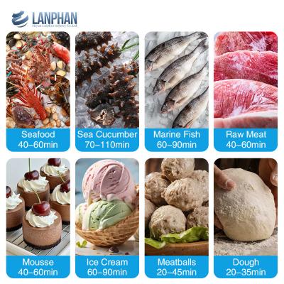 China Quick Freezing Machine -80℃ Large Scale 300l Blast Freezer Machine Fish Storage Blast Freezer for sale