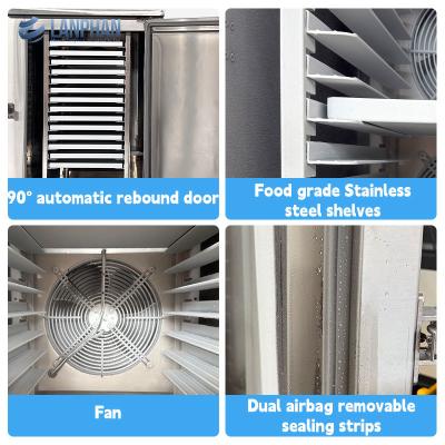 China Quick Freezing Machine -80℃ Large Scale 300l Blast Freezer Machine Fish Storage Blast Freezer for sale