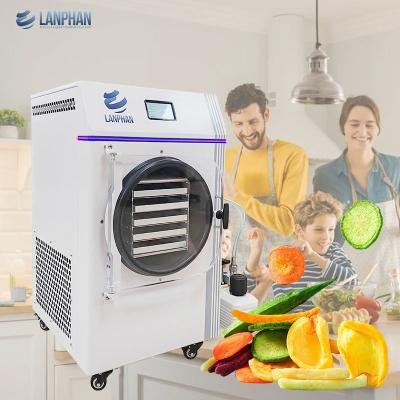 China 4-6Kg Automatic Small Food Fruit Meat Vacuum Freeze Dry Machine For Home Use for sale