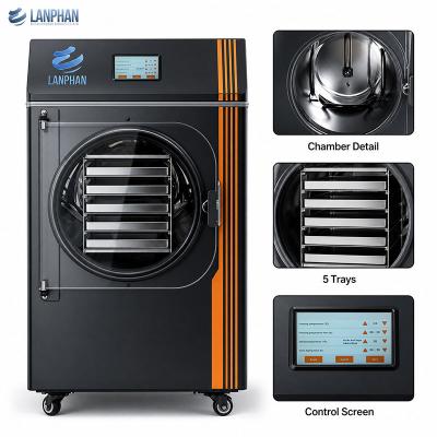 China Mini Automatic Home Food Freeze Dryer with Vacuum Freeze Drying System for sale