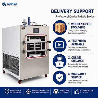 China -75°C Precision Pilot Lyophilizer Vacuum Freeze Dryer with Automatic Stoppering System for sale