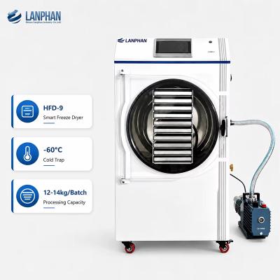 China 12-14kg Commercial Grade Stainless Steel Vacuum Freeze Dryer for Fruits and Vegetables for sale