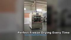 Industrial Freeze Dryer 15kg Batch Capacity Solution
